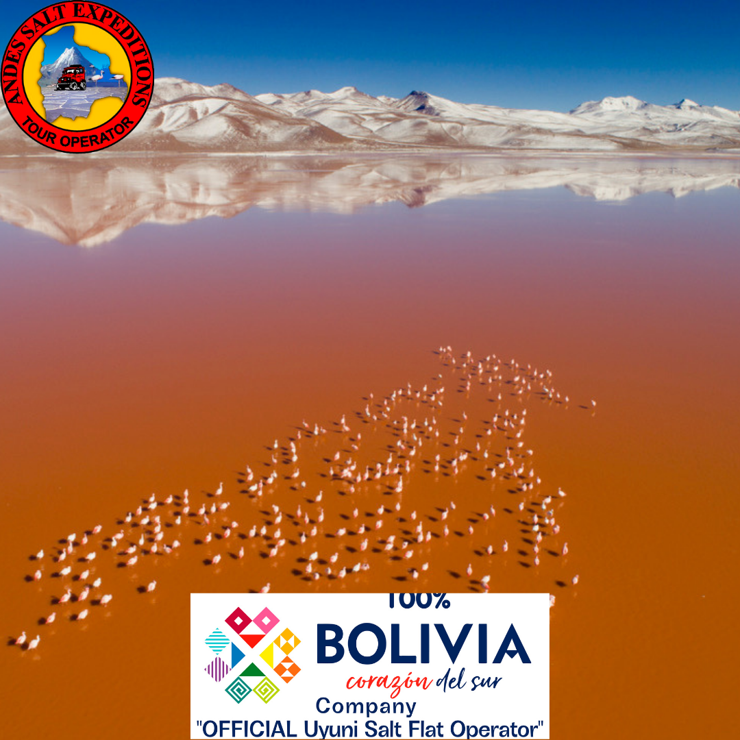 Medium Package - 4 Days/3 Nights /Uyuni Salt Flat & Colored Lagoon Tour ...